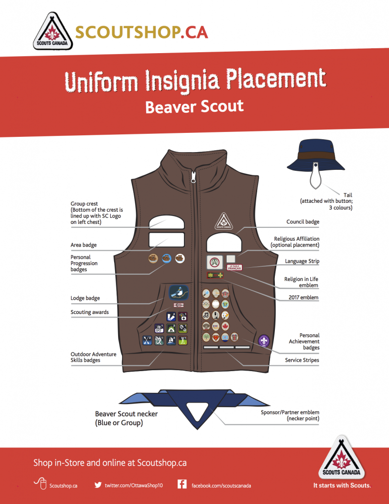 Beaver Resources - 1st Milton Scouting